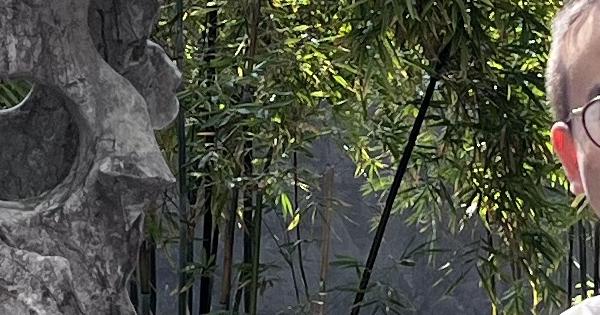 PhD student Yifan Li to attend Chinese Object Study Workshop ...